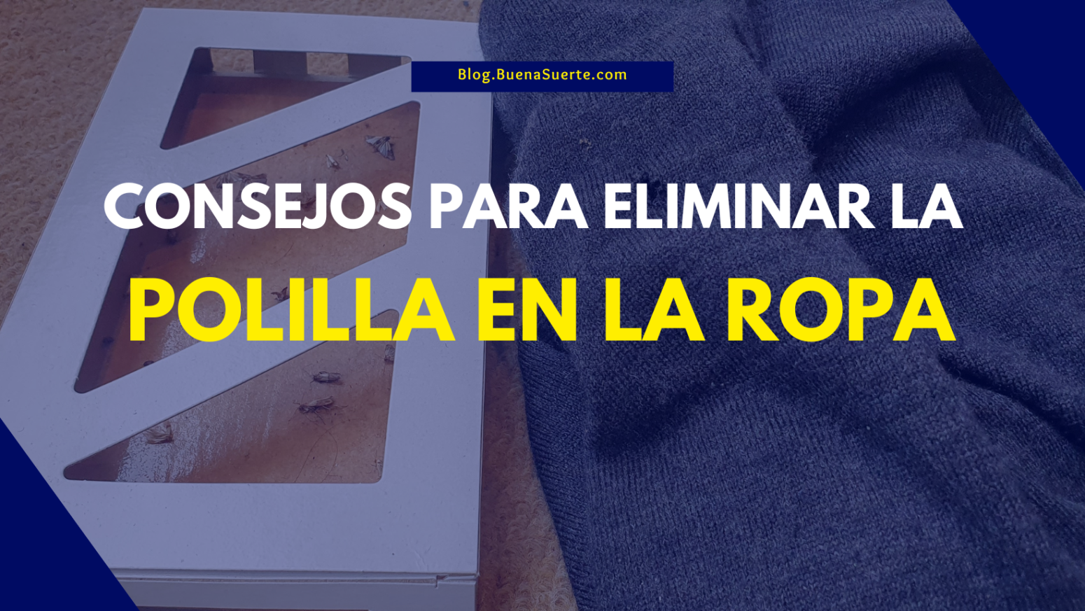Consejos para eliminar la polilla de la ropa - Nuestro Blog