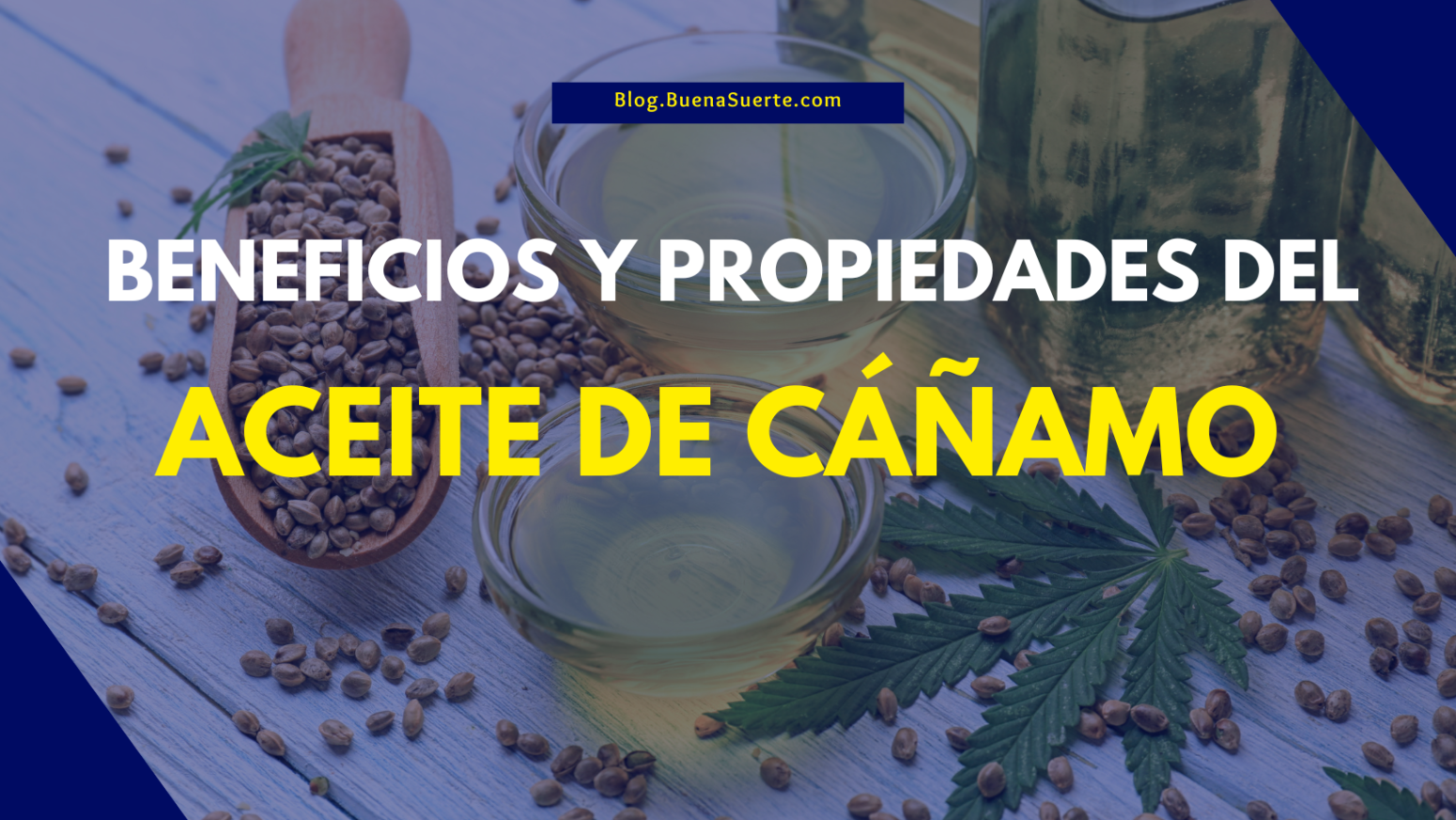 Beneficios y propiedades del aceite de cáñamo - Nuestro Blog